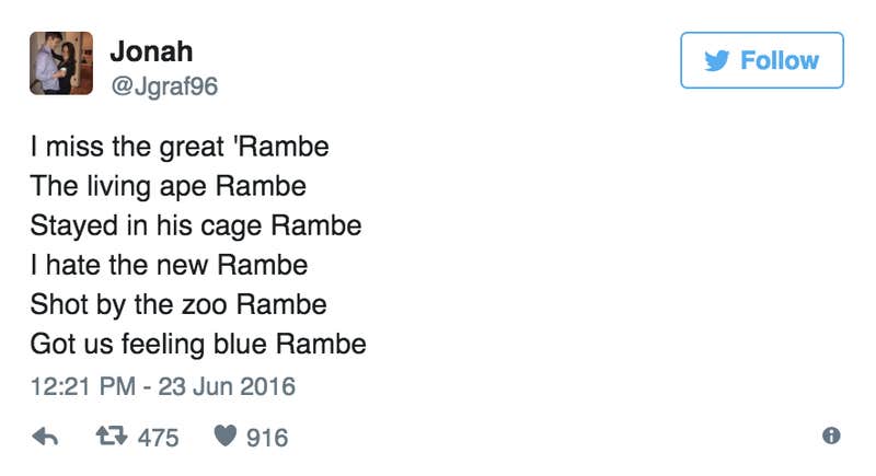 Why Harambe Was the Last Great Meme