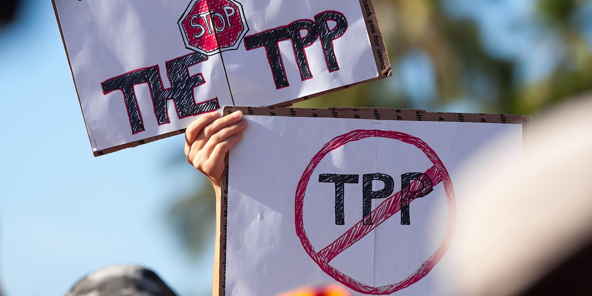 What is TPP, the Trans-Pacific Partnership?