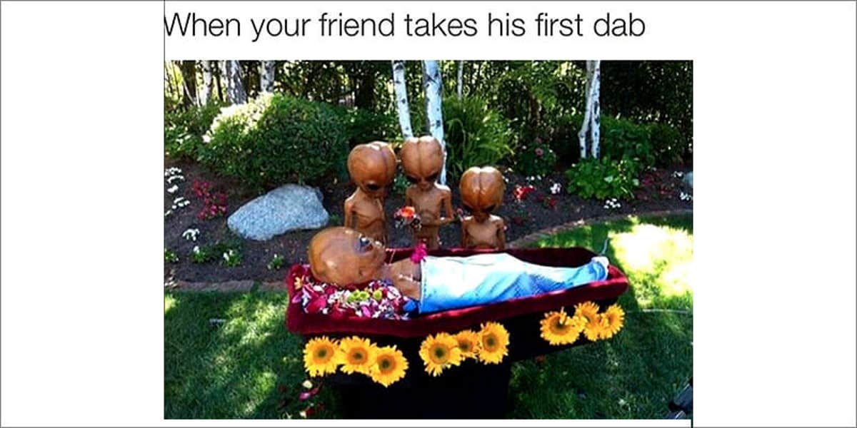 20 Funny Weed Memes for Stoners | Daily Dot