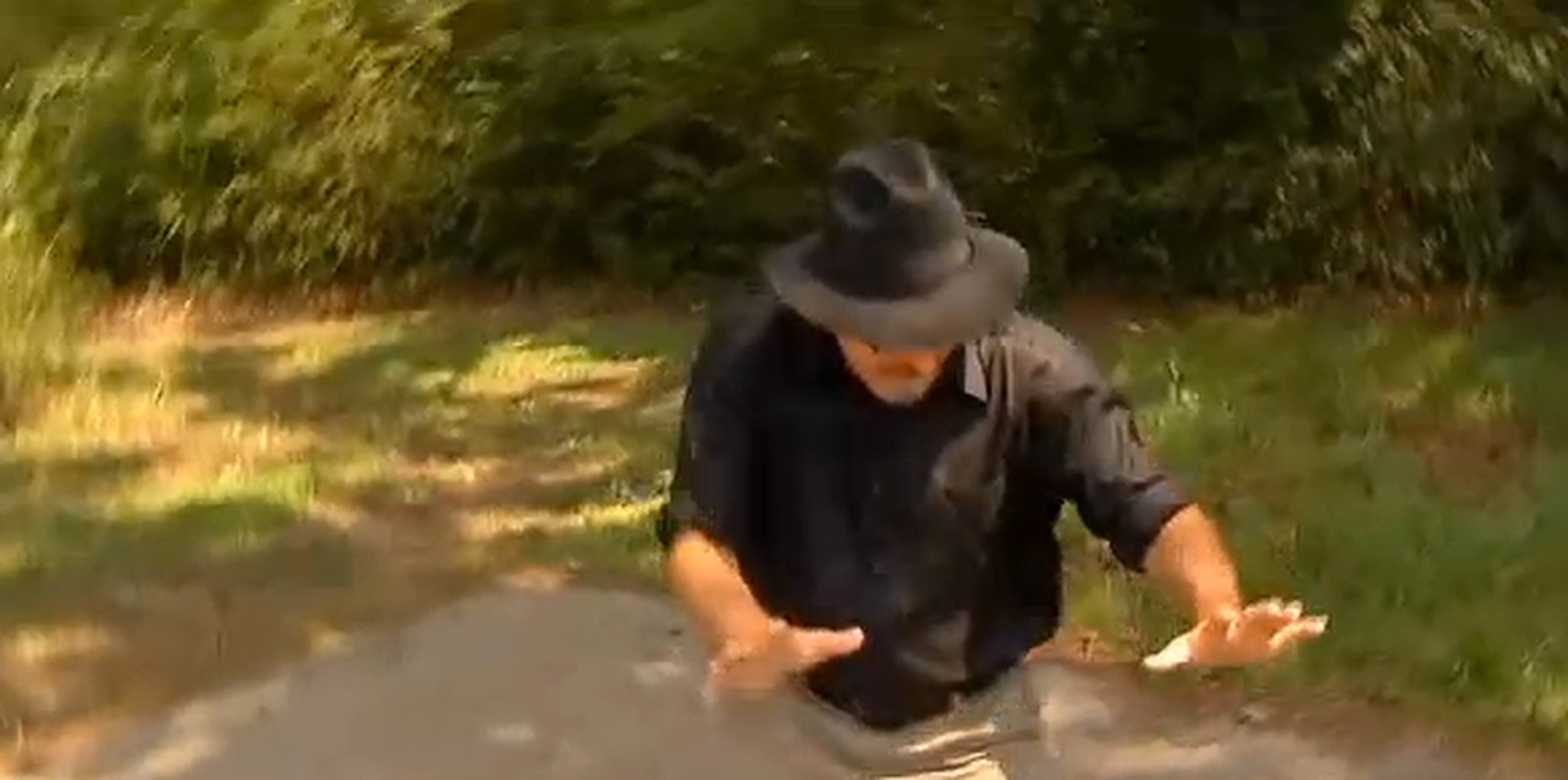 Dancing park ranger fired over online video