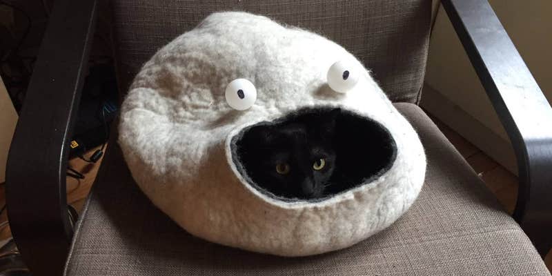 Woman Modifies Cat Bed to Make It Look Like a Monster