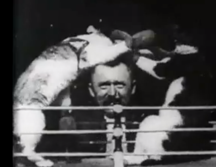 YouTube's oldest cat video, courtesy of Thomas Edison
