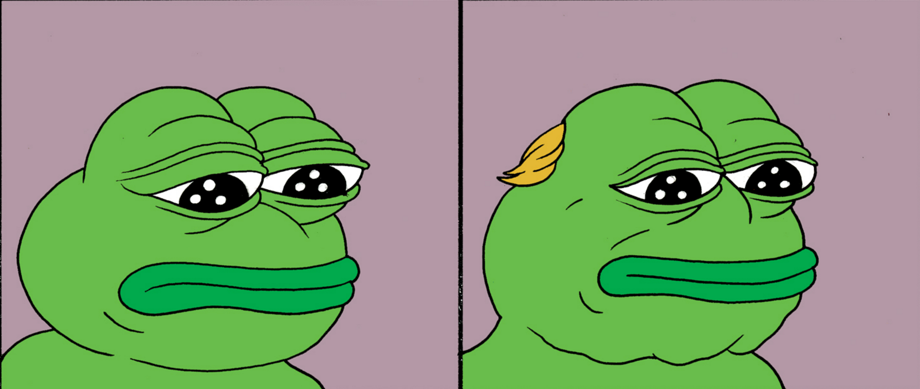 Pepe the Frog Creator Illustrates His Trump Nightmare