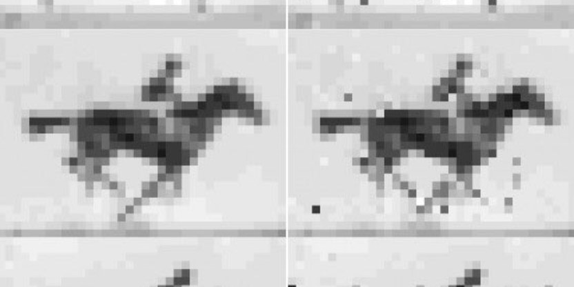Scientists Splice a GIF Into the DNA Of a Living Organism