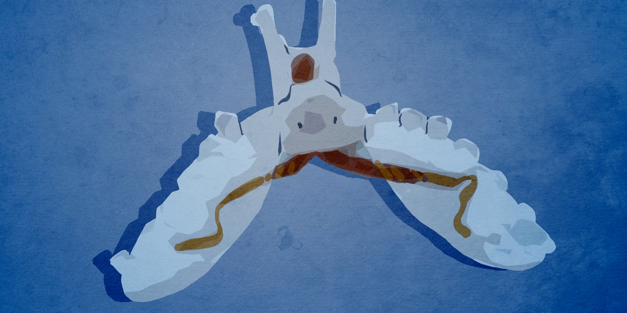 This creepy robot made from sea slug parts is the beginning of genetic ...