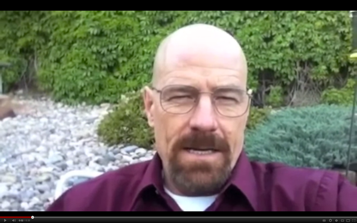 Walter White Full Body