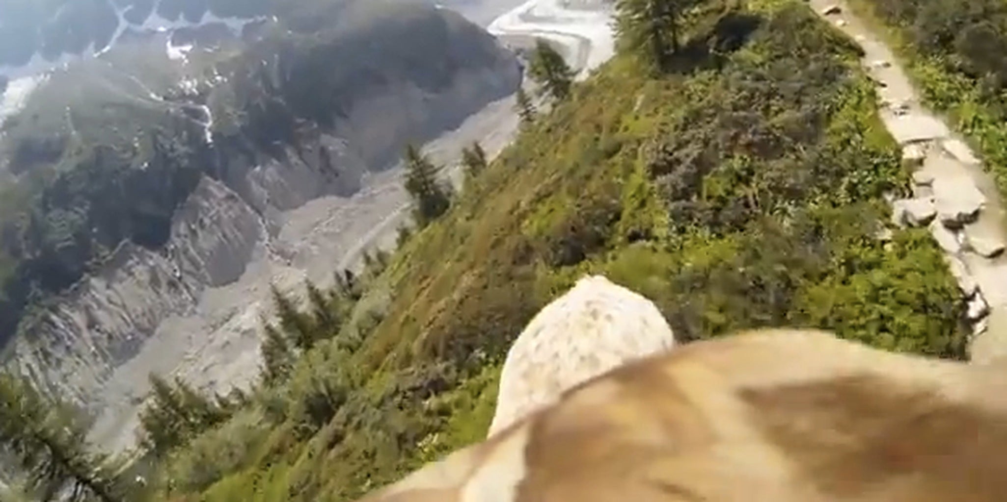 We can't believe it took this long to attach a GoPro to a soaring eagle