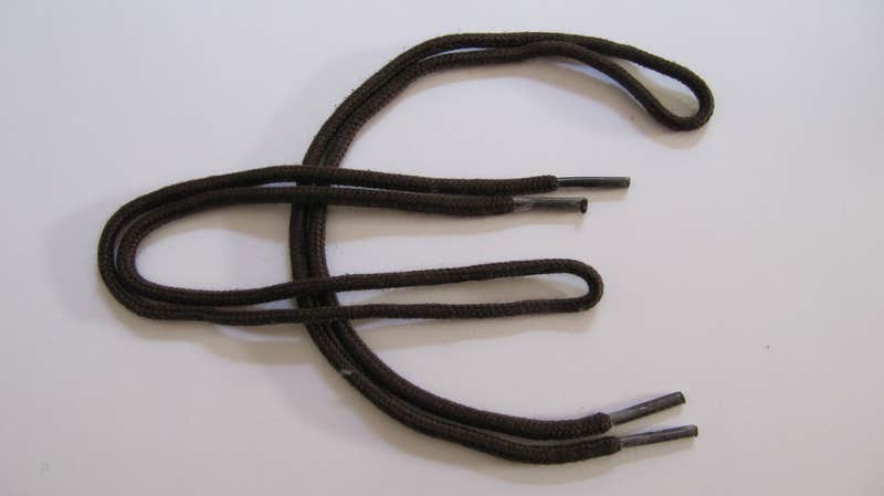 Wikipedia for the Weird: Odd facts about aglets - The Daily Dot