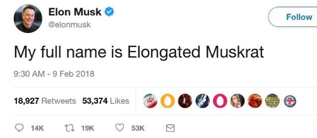 The Internet is Calling Elon Musk 'Elongated Muskrat' Now
