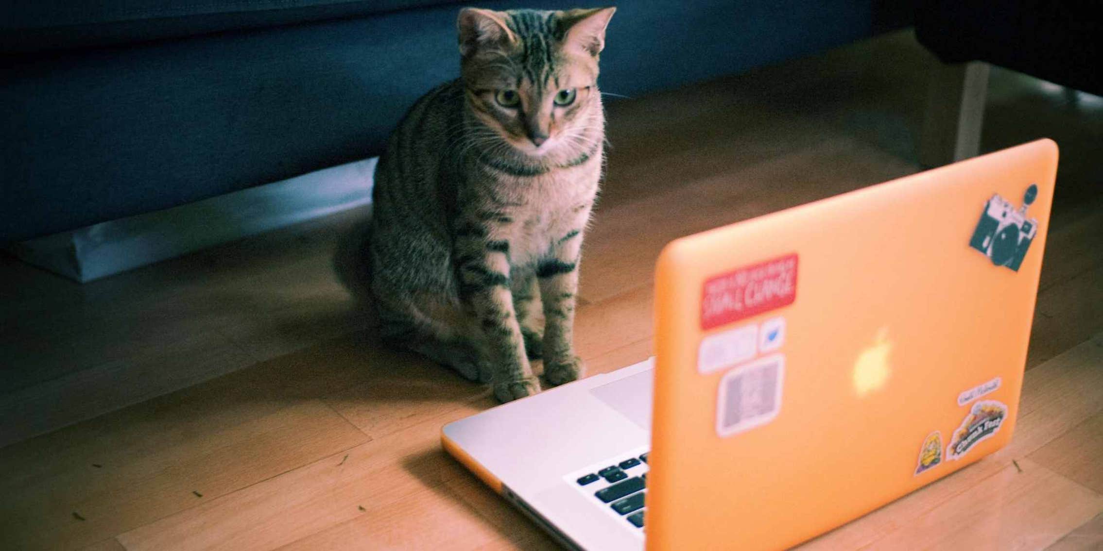 It s Monday So Here s An Extension That Fills Your Browser With GIFs It s Monday So Here s An Extension That Fills Your Browser With GIFs