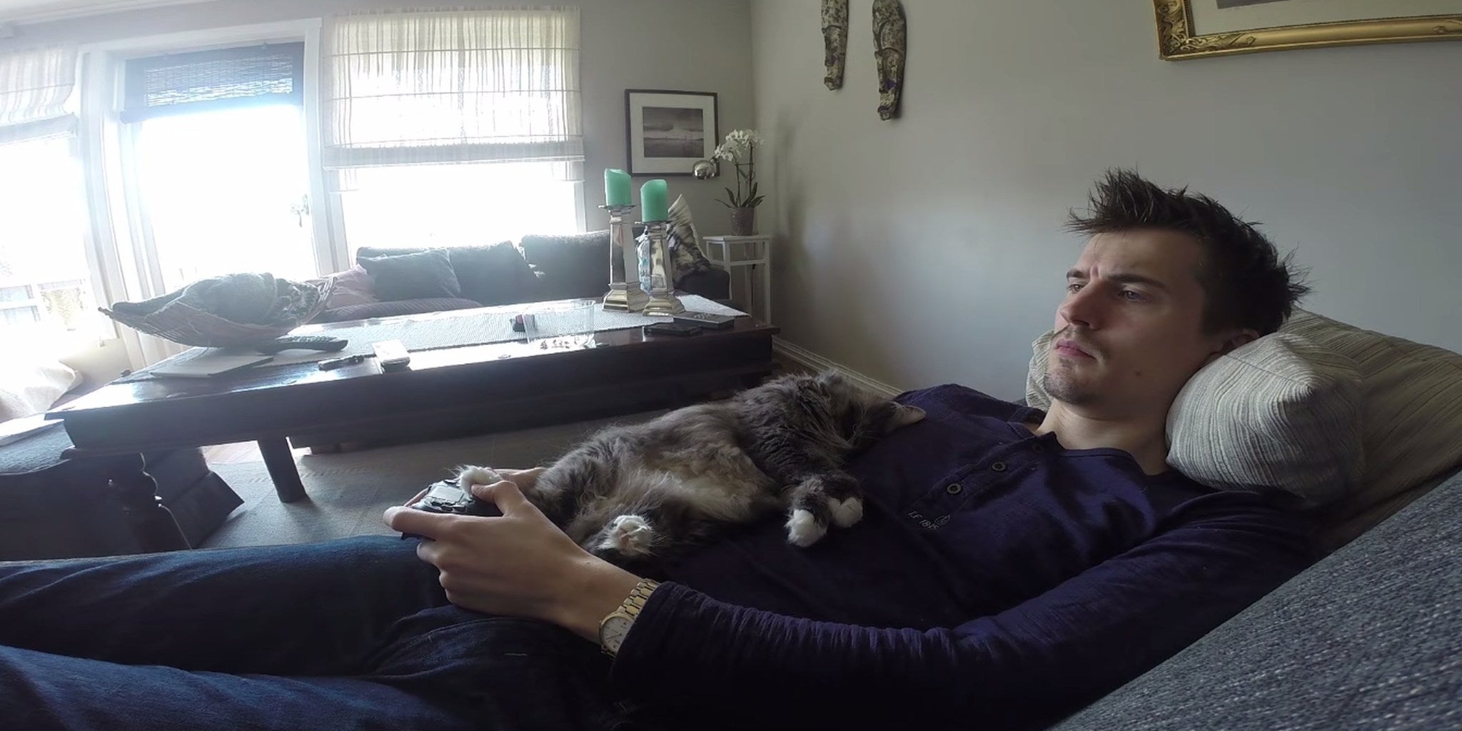 Attention-seeking cat knows it's the only thing that matters