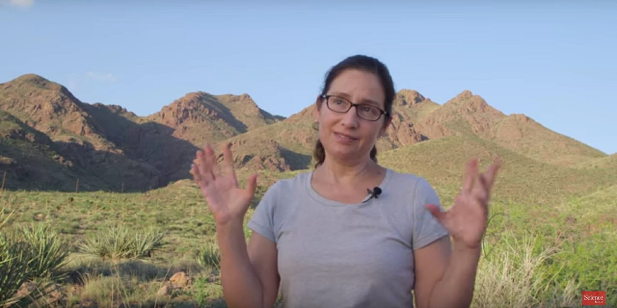 Female scientists are hunting scorpions and researching dreams in this ...