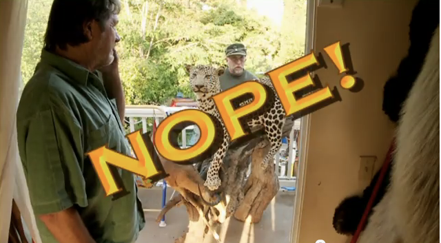NOPE! Chuck Testa's taxidermy commercial becomes a viral hit