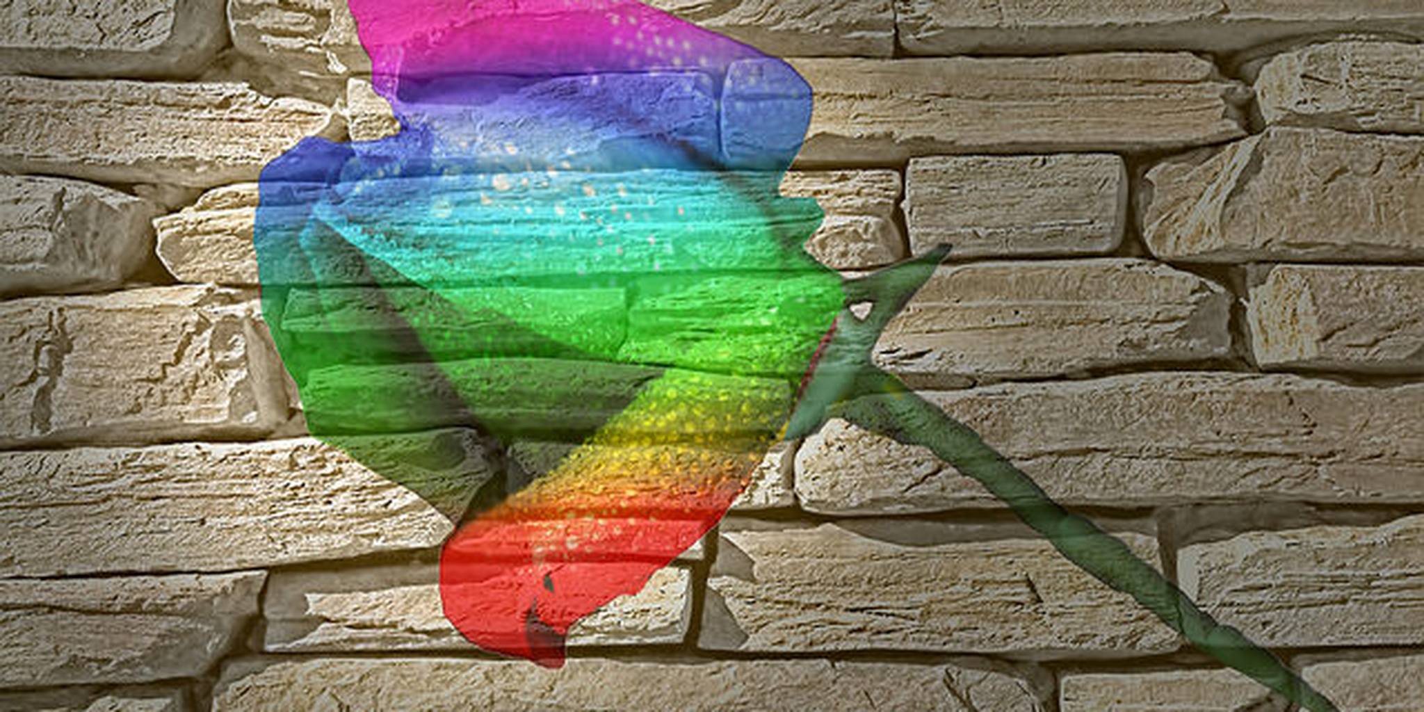 This woman is launching a GoFundMe campaign to troll her homophobic ...