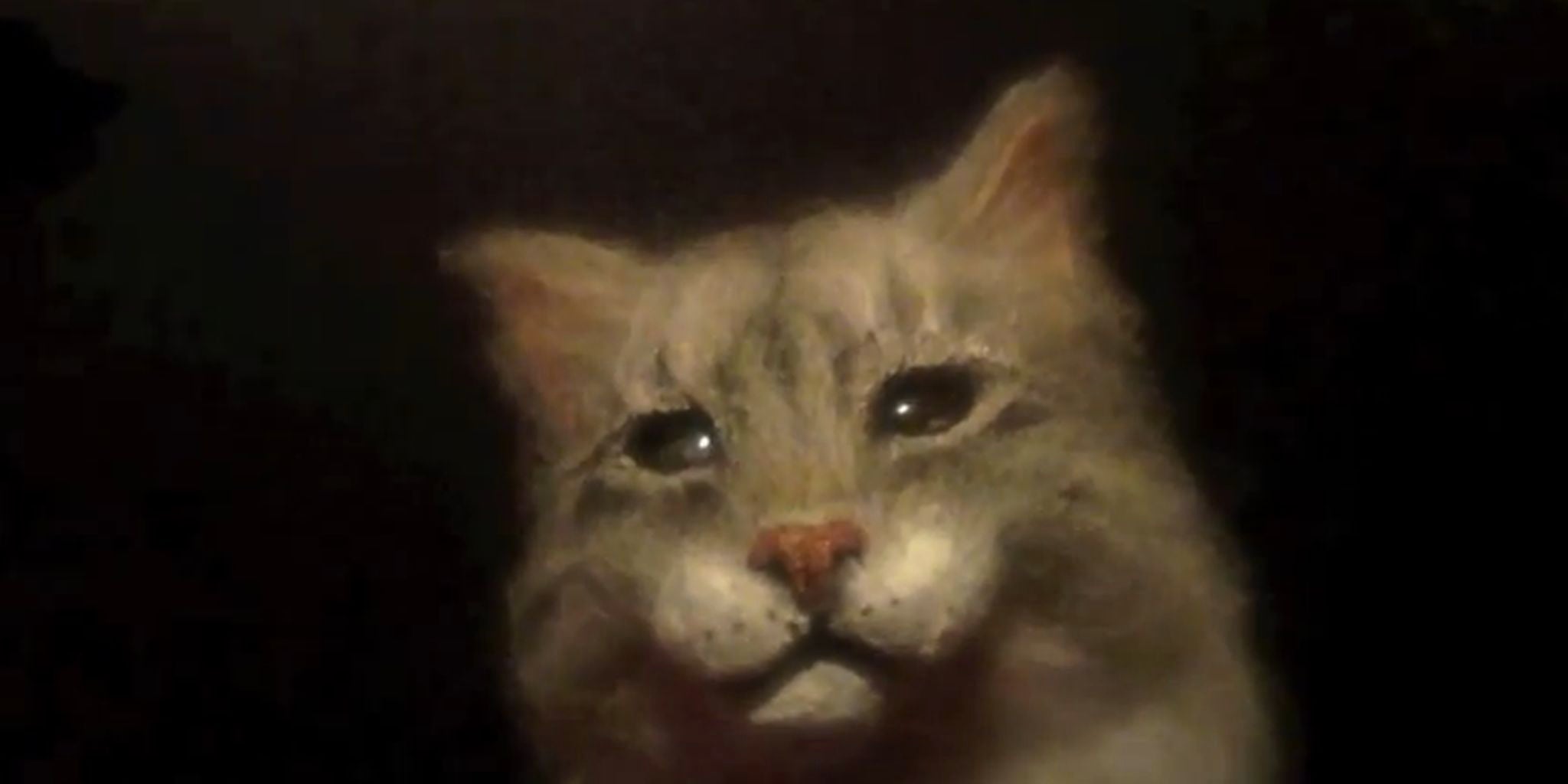 This drunk guy found the perfect song for his prosthetic cat to sing
