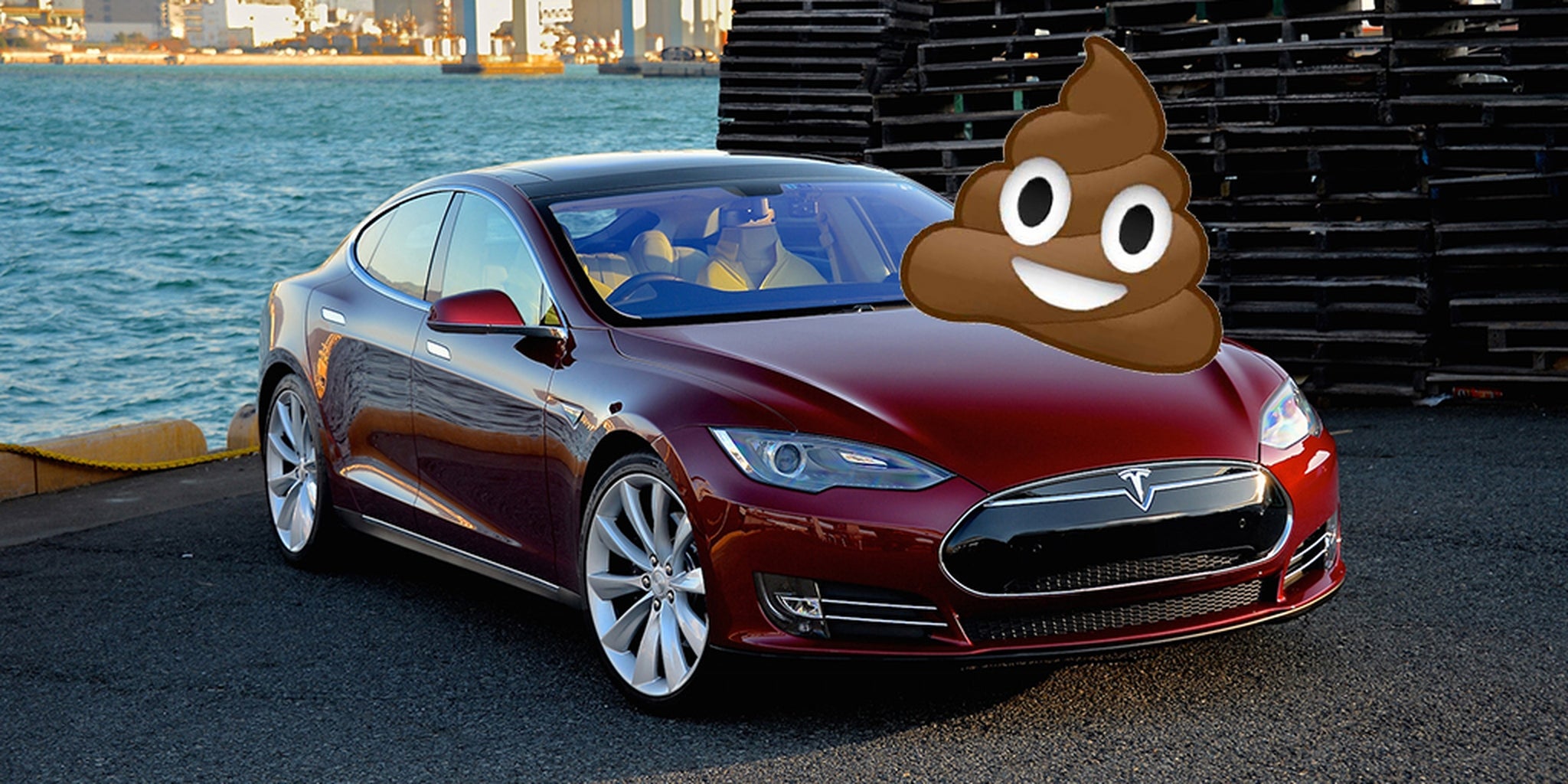 Chicago man vows to hunt down whoever pooped on his Tesla - The Daily Dot