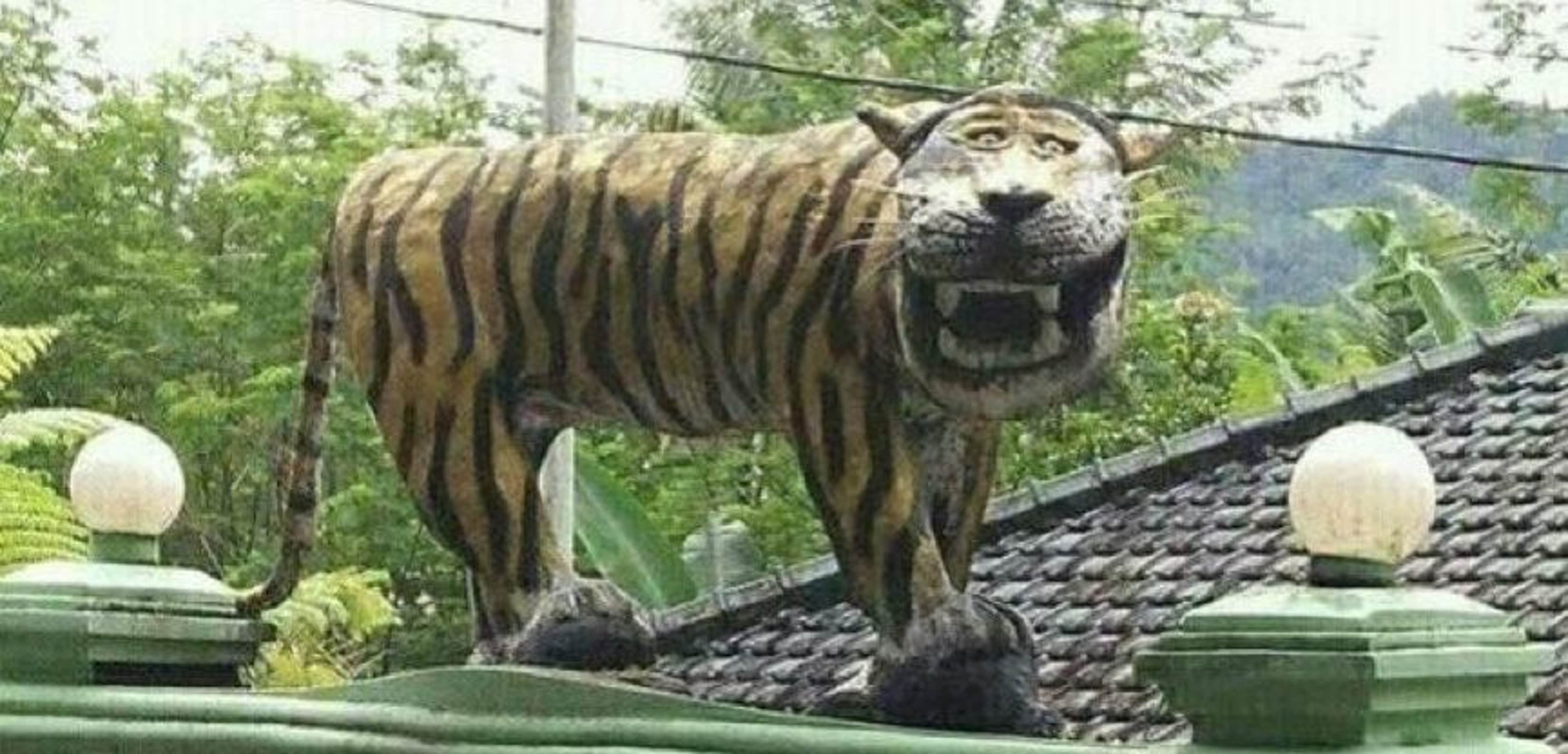 Indonesian Military Destroys Funny Tiger Statue After It Becomes a Meme
