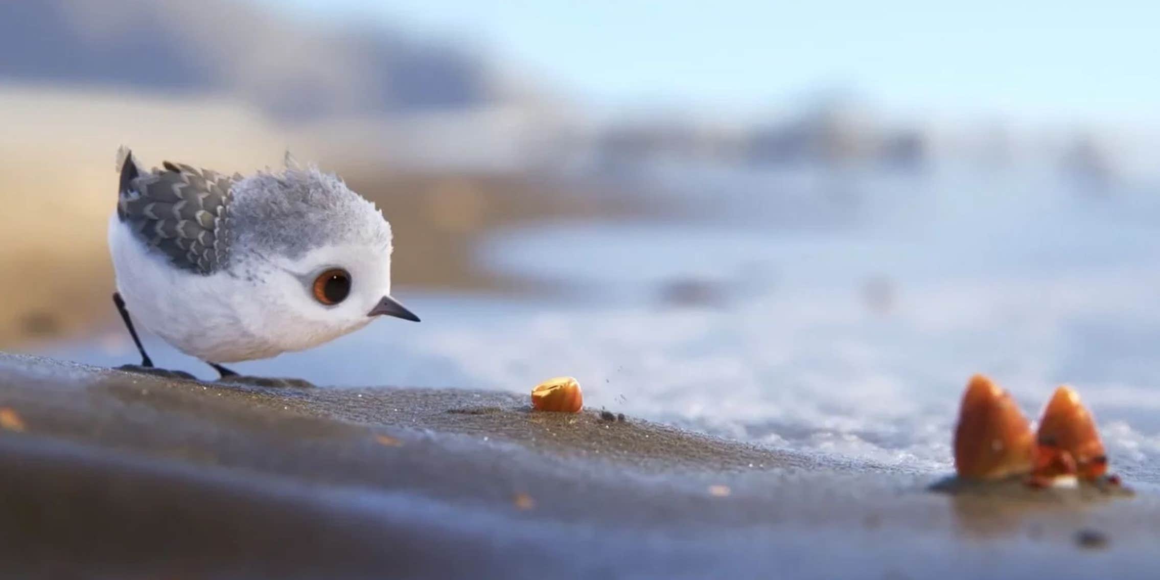 Pixar's Stunning Short Film 'Piper' Is Streaming Online for Free