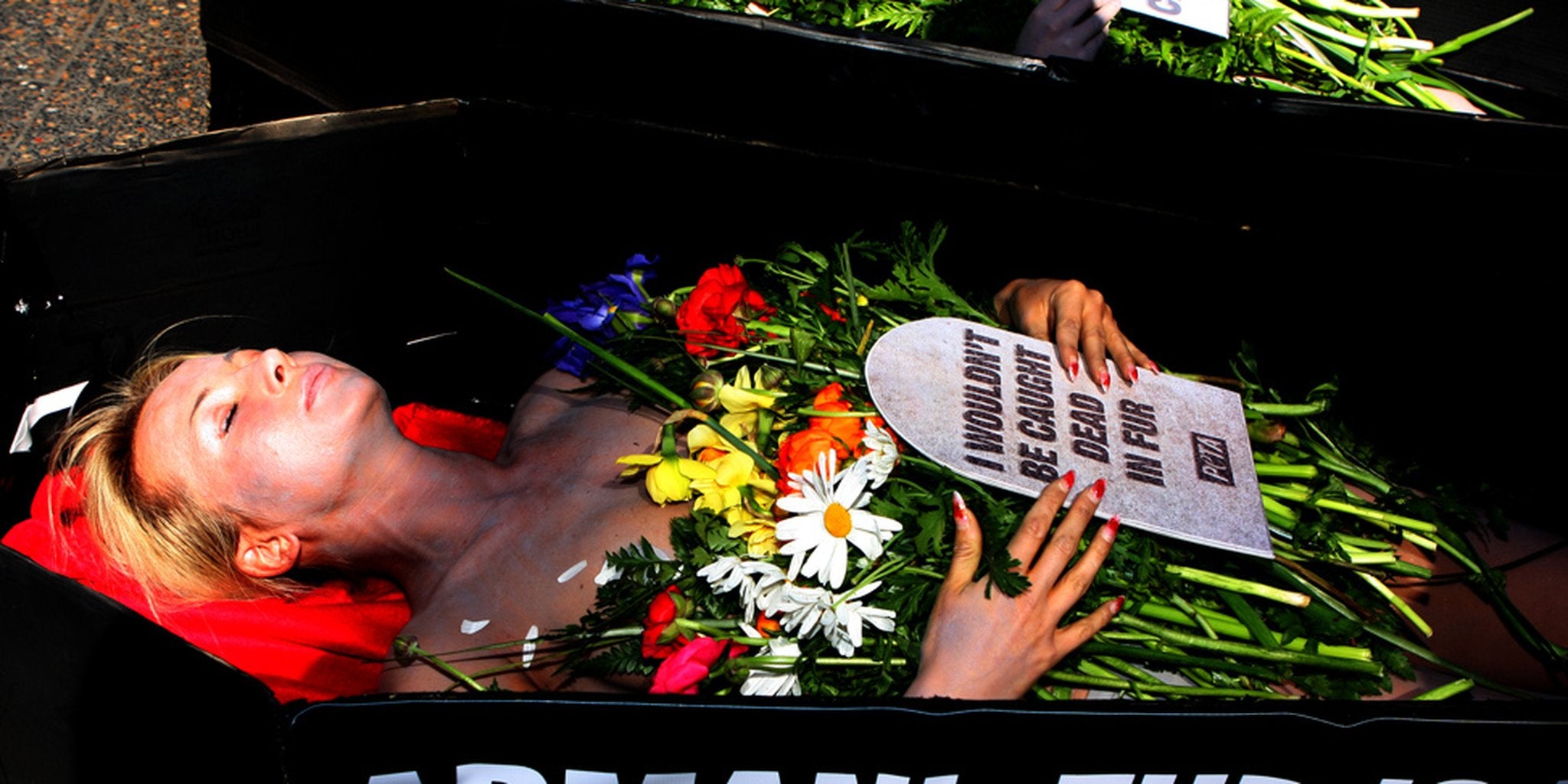 No one can tell the difference between PETA parody and actual PETA