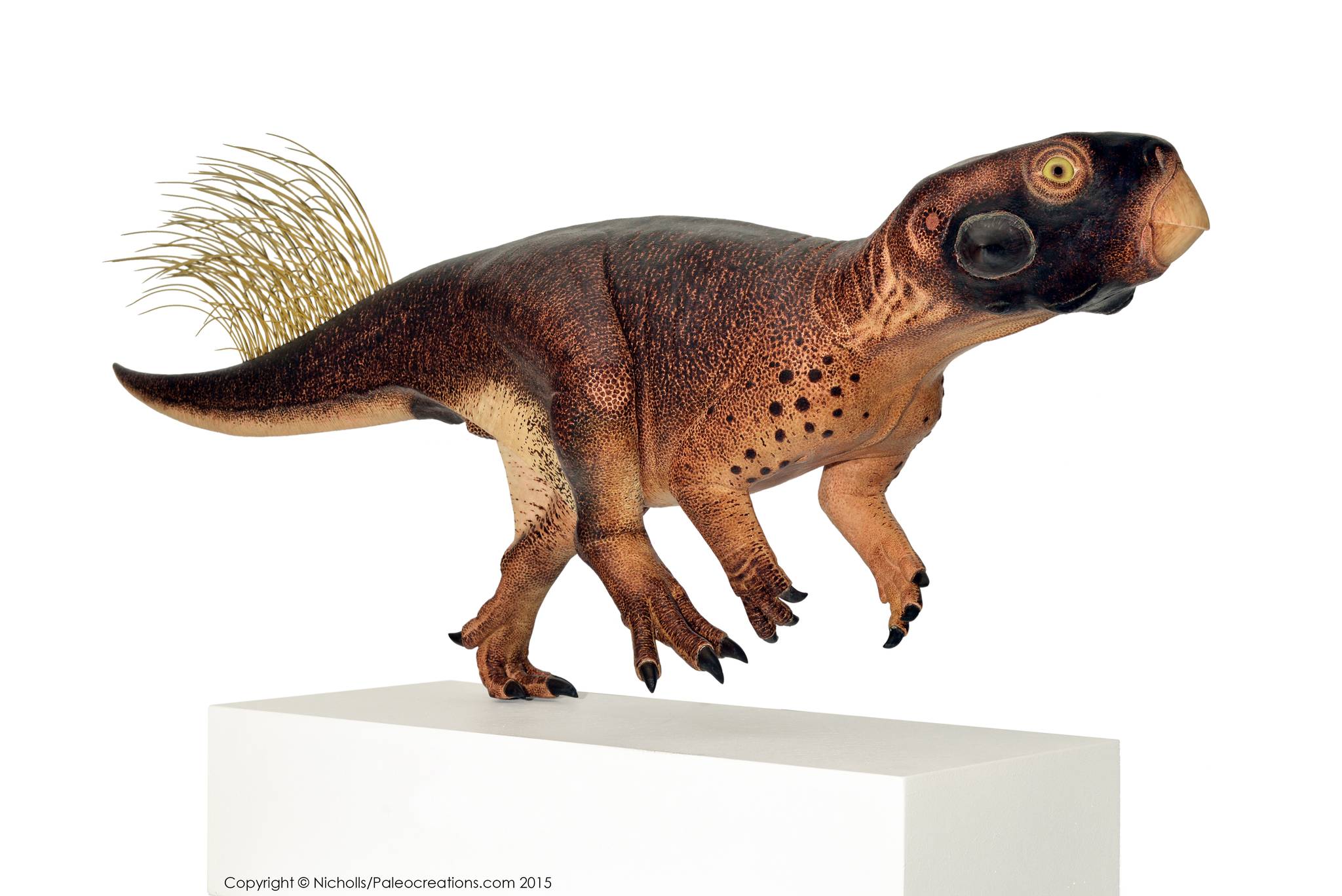Scientists Decode the Color Pattern Of The World's Cutest Dinosaur