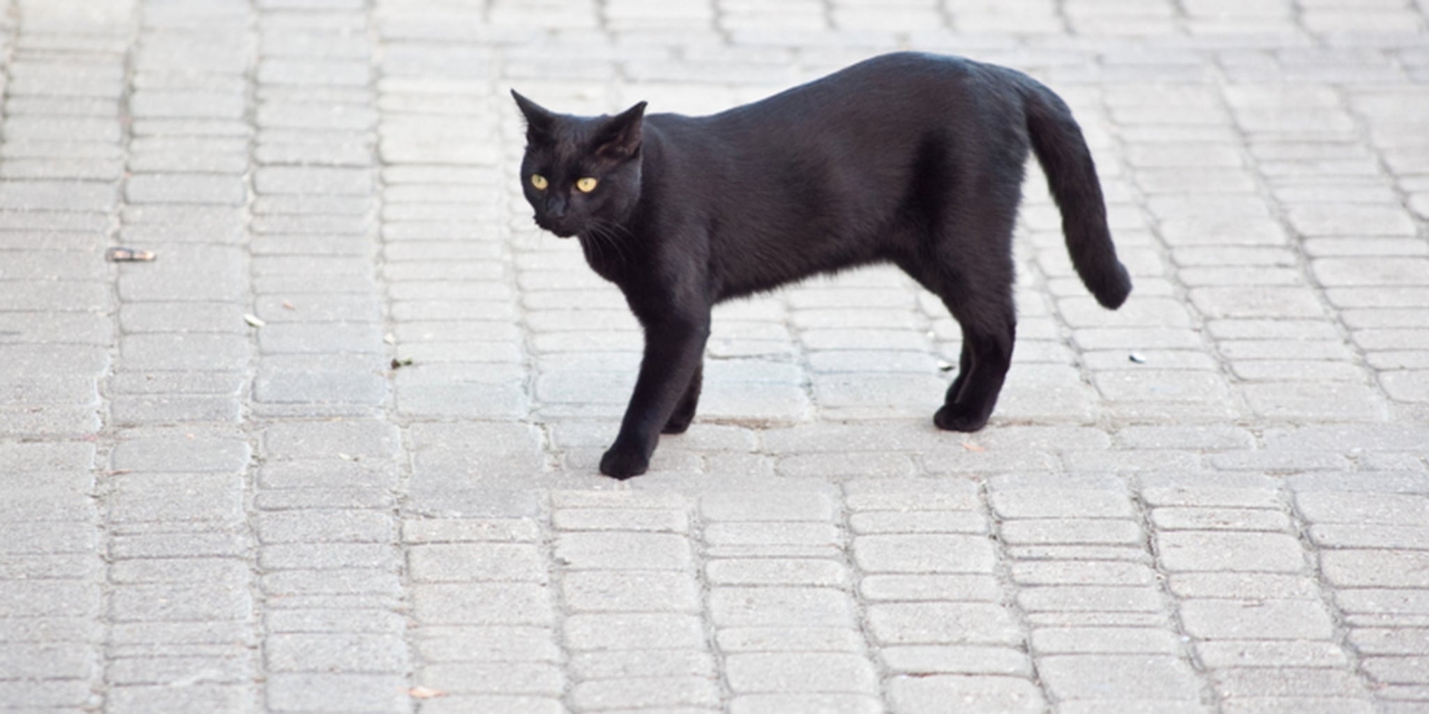 13 tips for surviving Friday the 13th