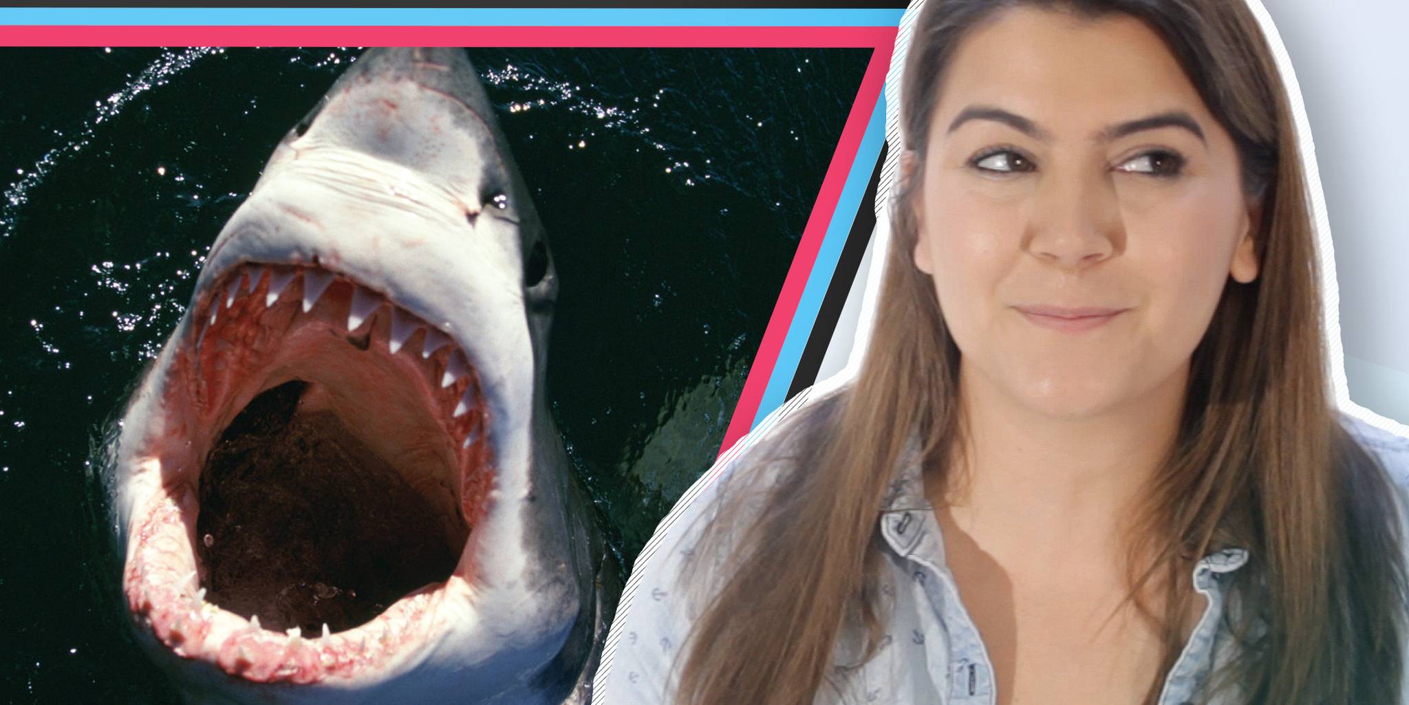 I Watched 'Jaws' for the First Time, and I'll Never Go to a Beach Again