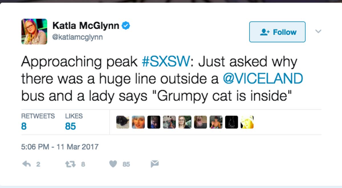 Grumpy Cat RIP: 15 Surly Facts about the Internet's Grumpiest Cat