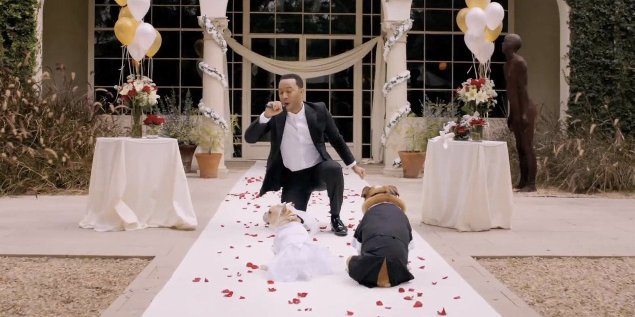 John Legend will sing to dogs for charity - The Daily Dot