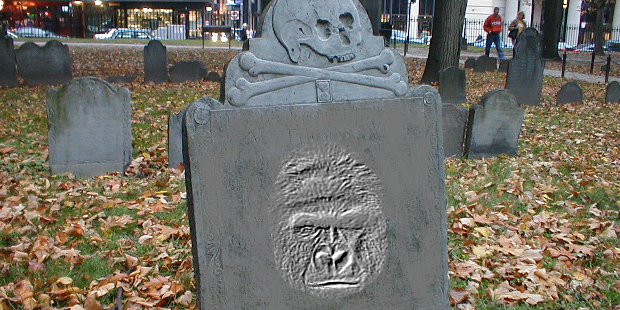 Super Deluxe Livestreams Harambe Funeral From Cincinnati Zoo