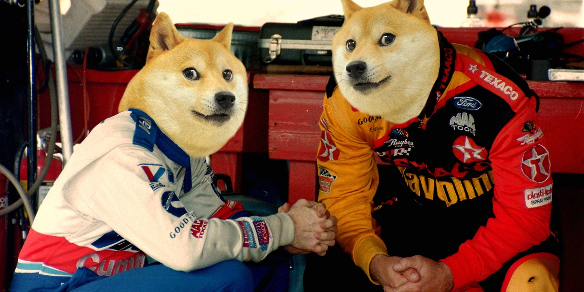 Here's everything Dogecoin users need to know about NASCAR