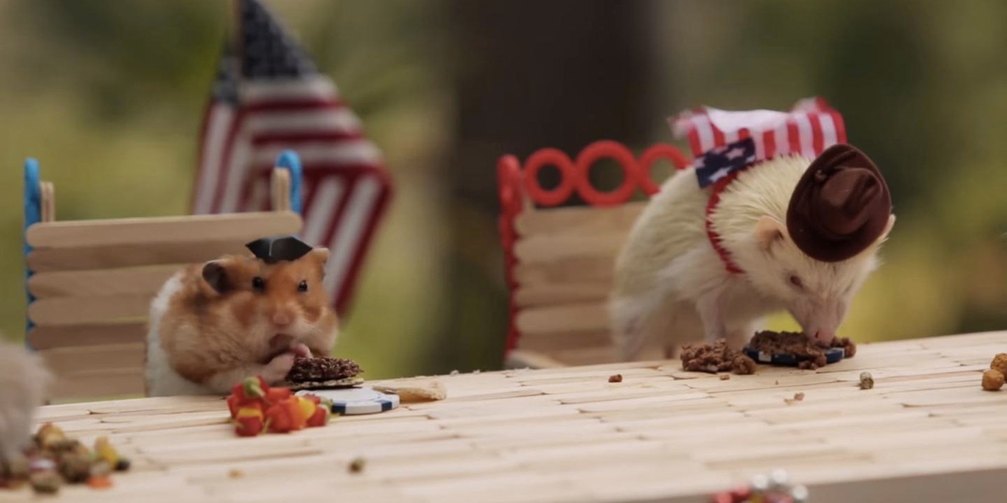 Tiny hamster has Fourth of July BBQ with all his furry friends