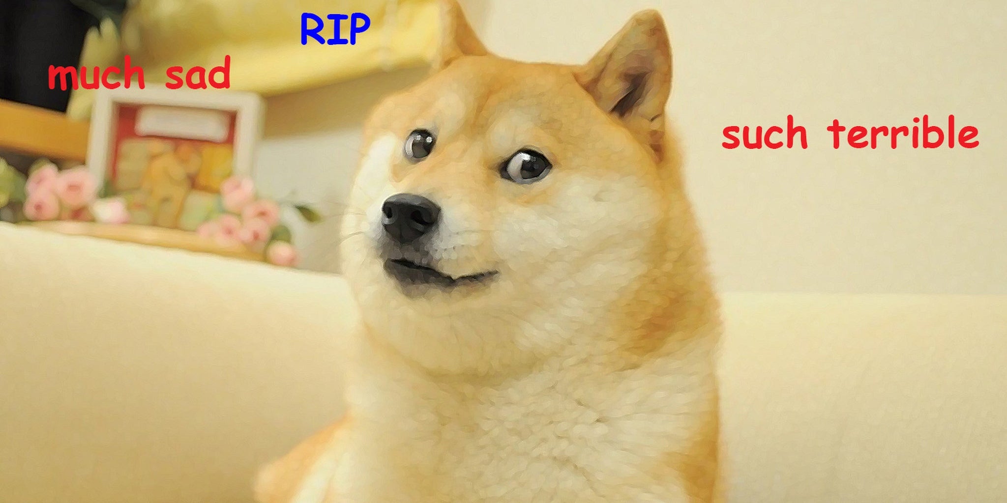 The life and death of doge, 2013's greatest meme