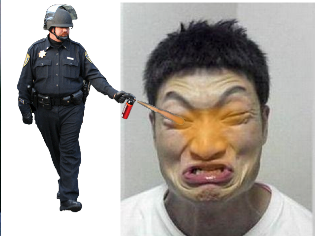 Cop Mace