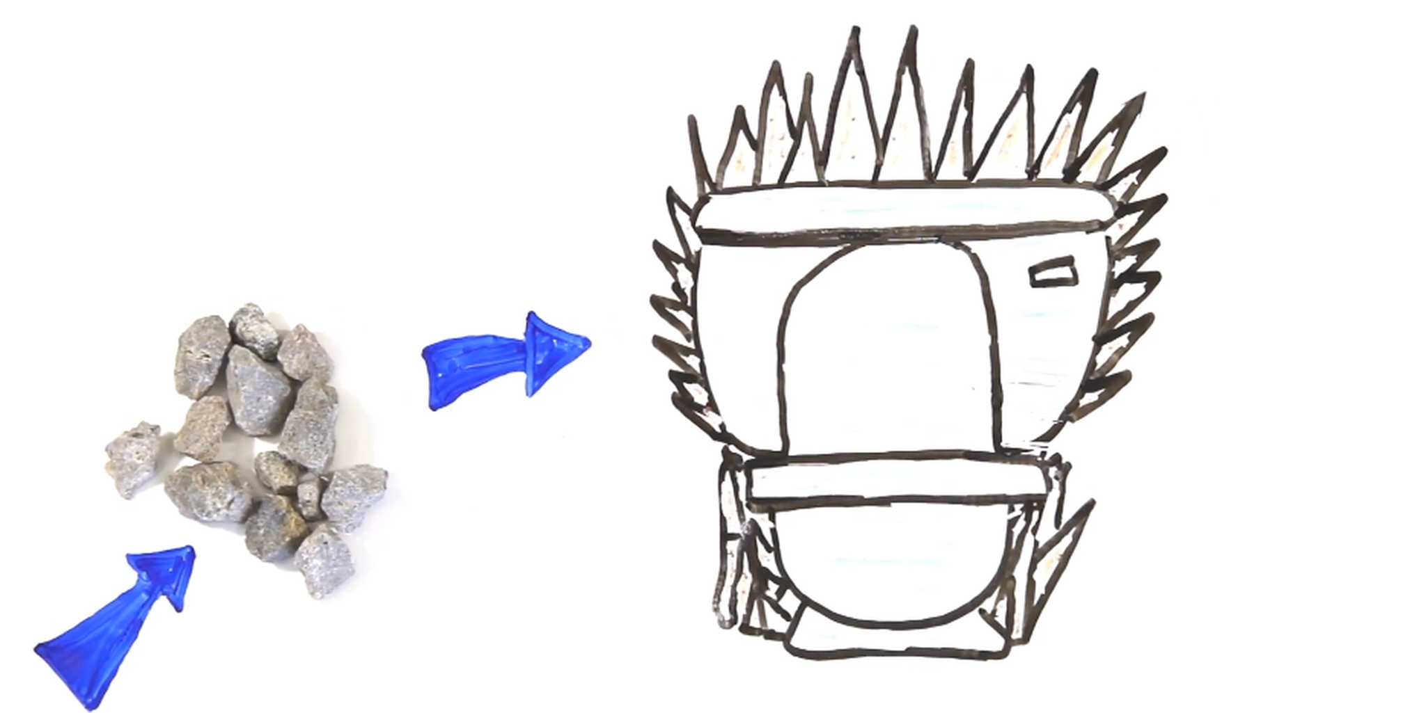 Don't watch this educational video about poop until after lunch