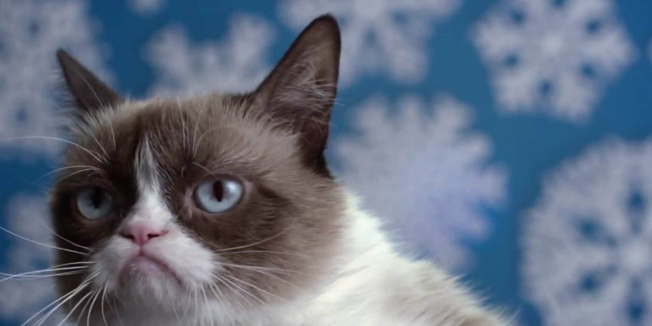 Heres The Grouchy Trailer For Grumpy Cats Worst Christmas Ever