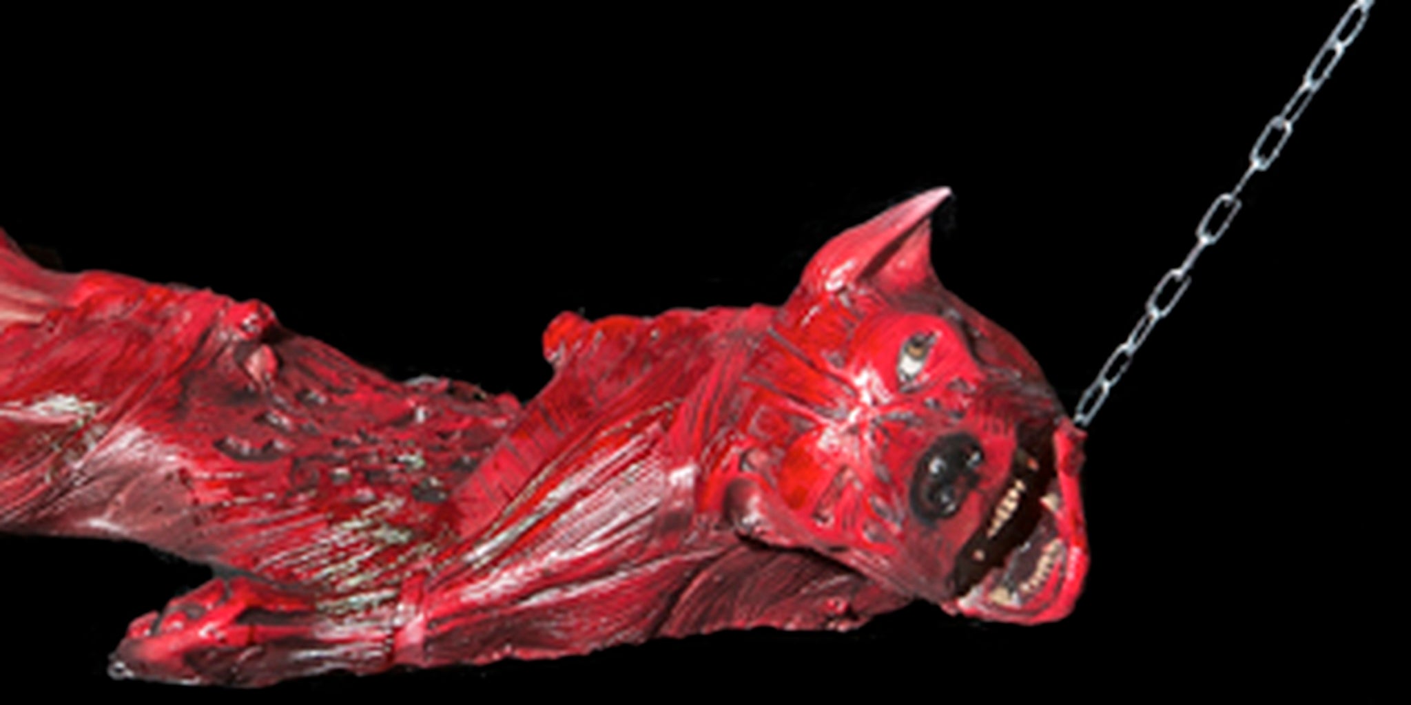 Amazon and Walmart pull dead dog Halloween prop from websites