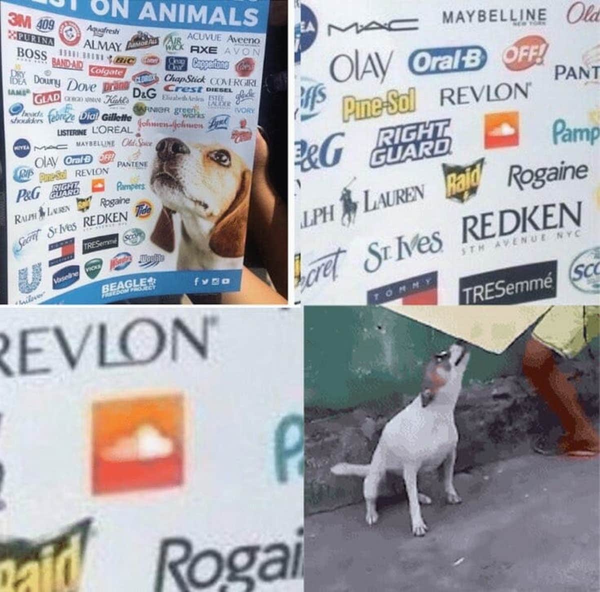 No Animals Were Harmed in the These Companies Test on Animals Meme