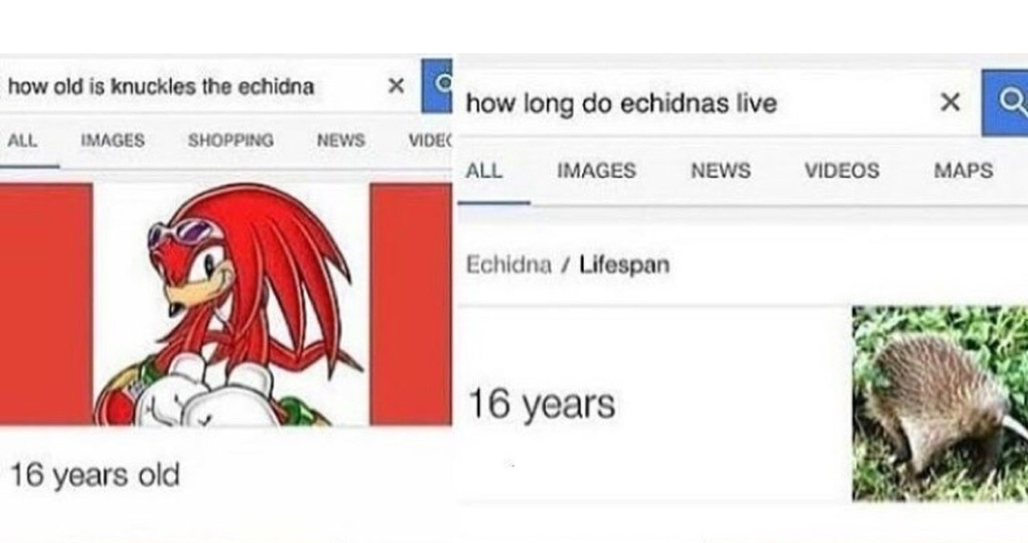 Is Knuckles the Echidna About to Die of Old Age?