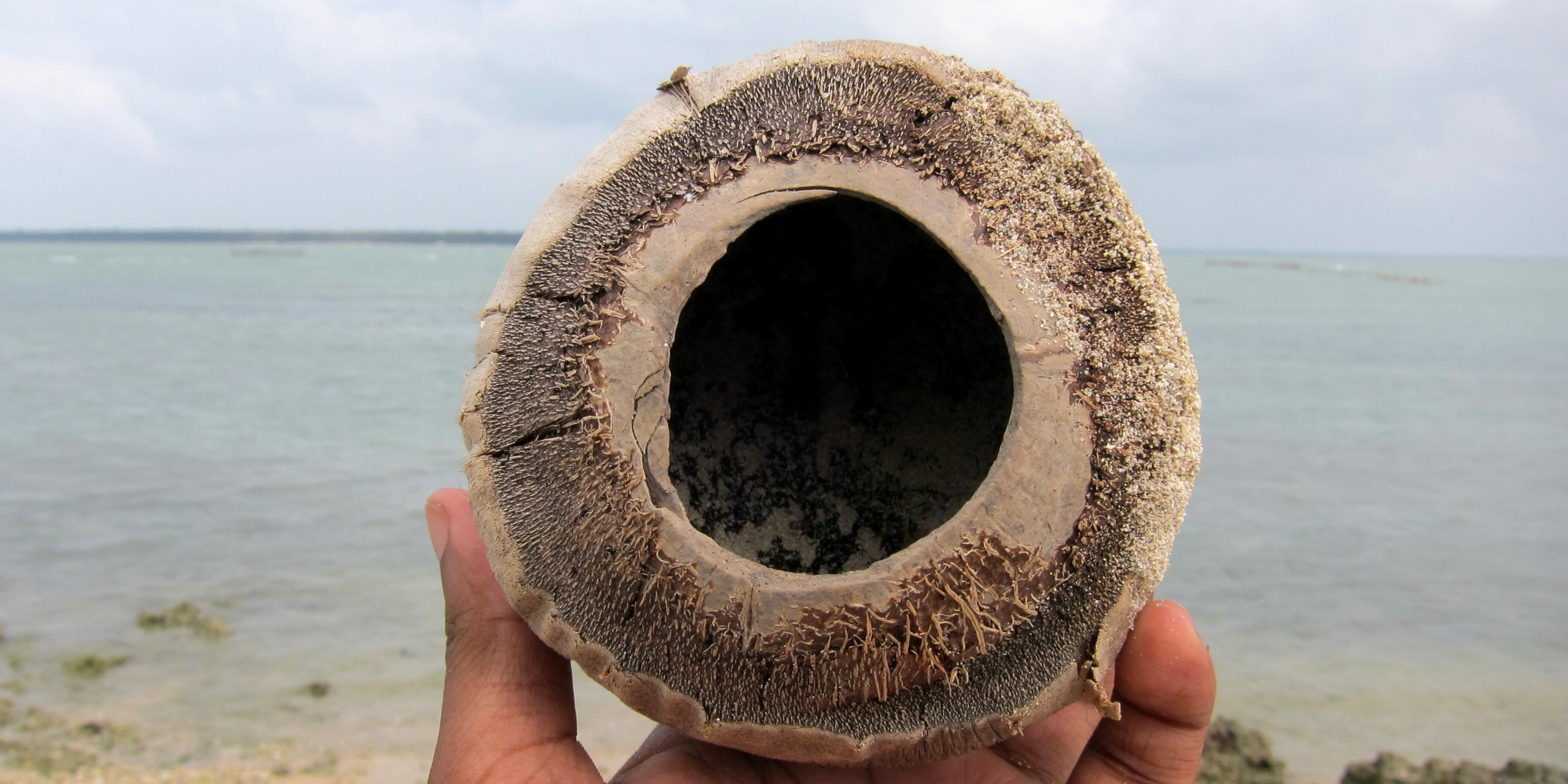 Mans Story About Having Sex With A Coconut Gets Gross Fast