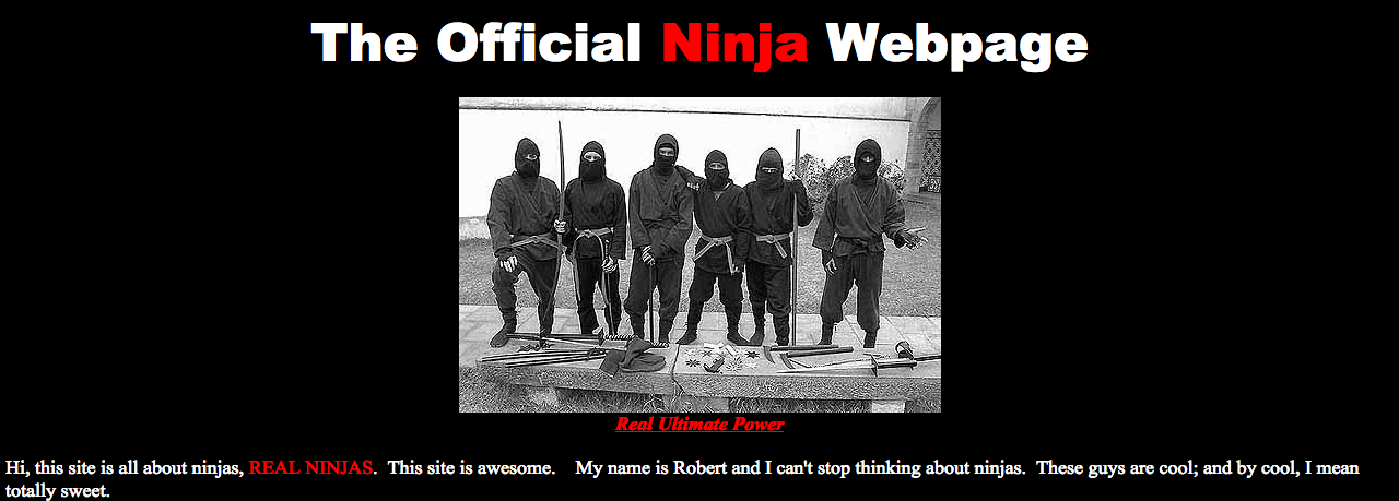 14 years ago, Real Ultimate Power taught us everything we know about ninjas