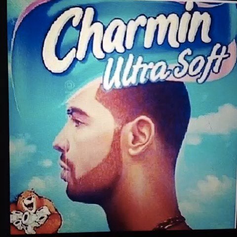 The Best Drake Memes, Starting From the Bottom