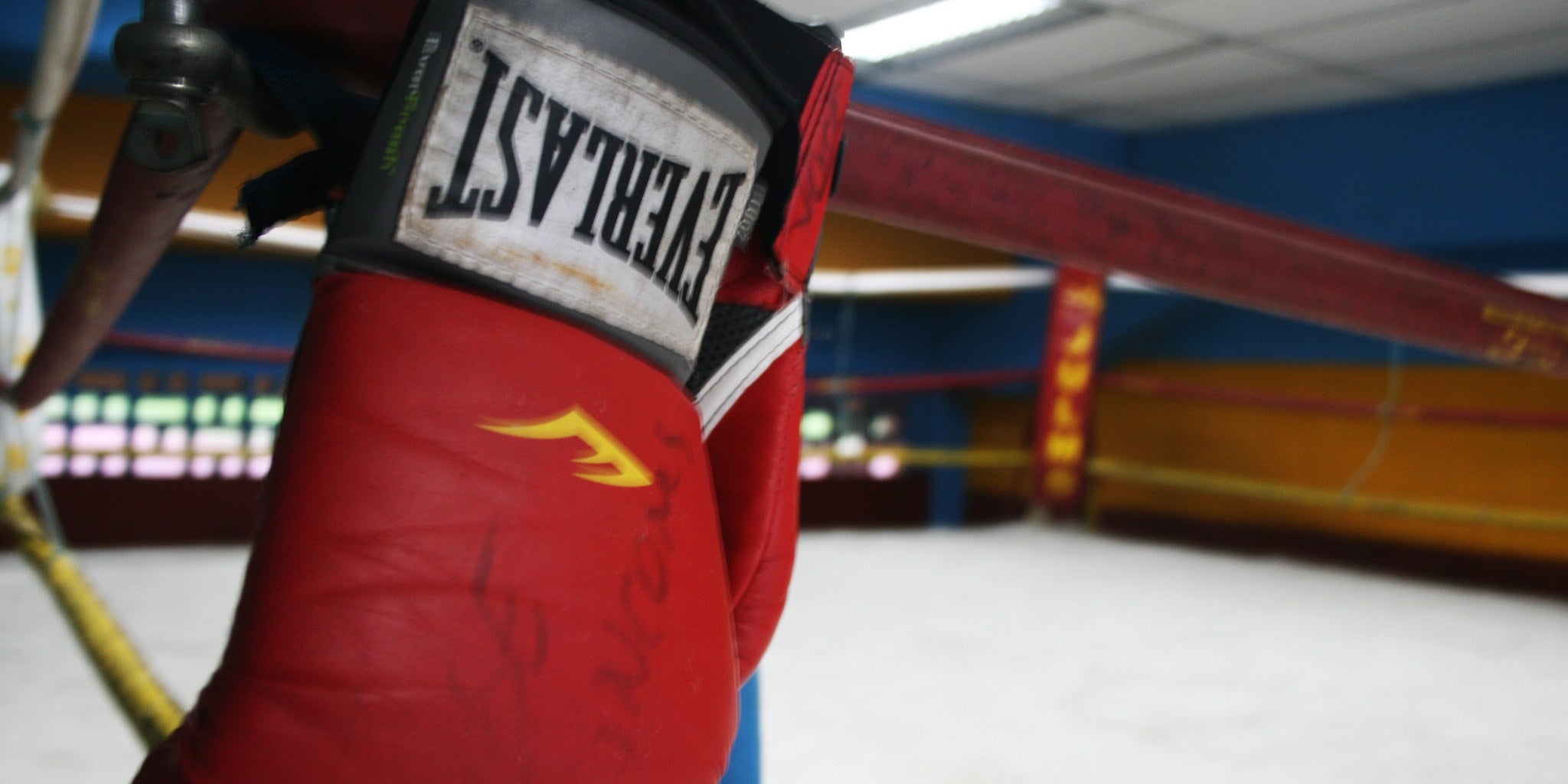 'Boxing mom' Adrienne Ford on the road back, and her Indiegogo campaign ...