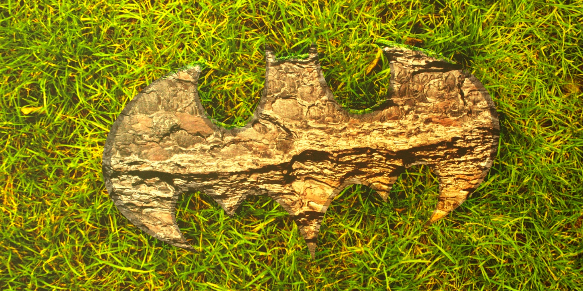 French artist creates a Batman suit made out of bark