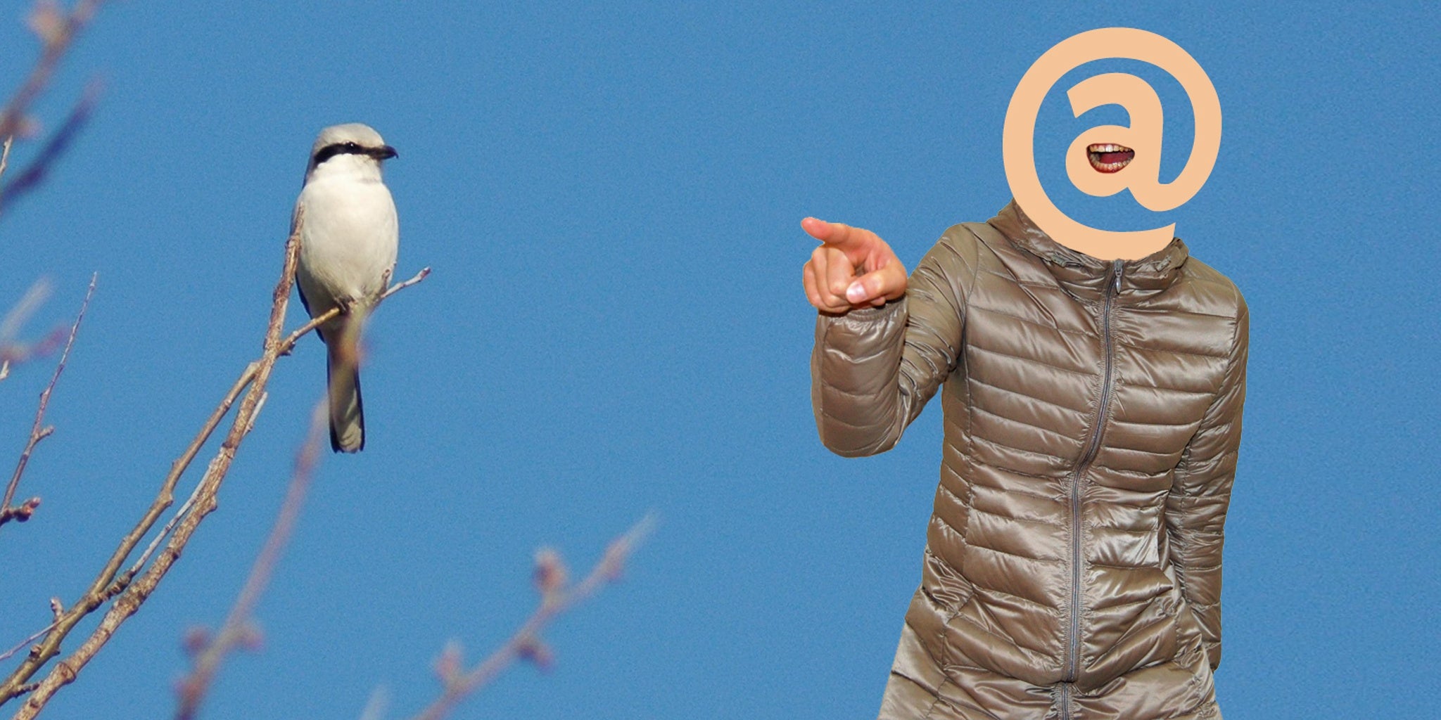 The Tangled Web: How much mocking is too much mocking? - The Daily Dot