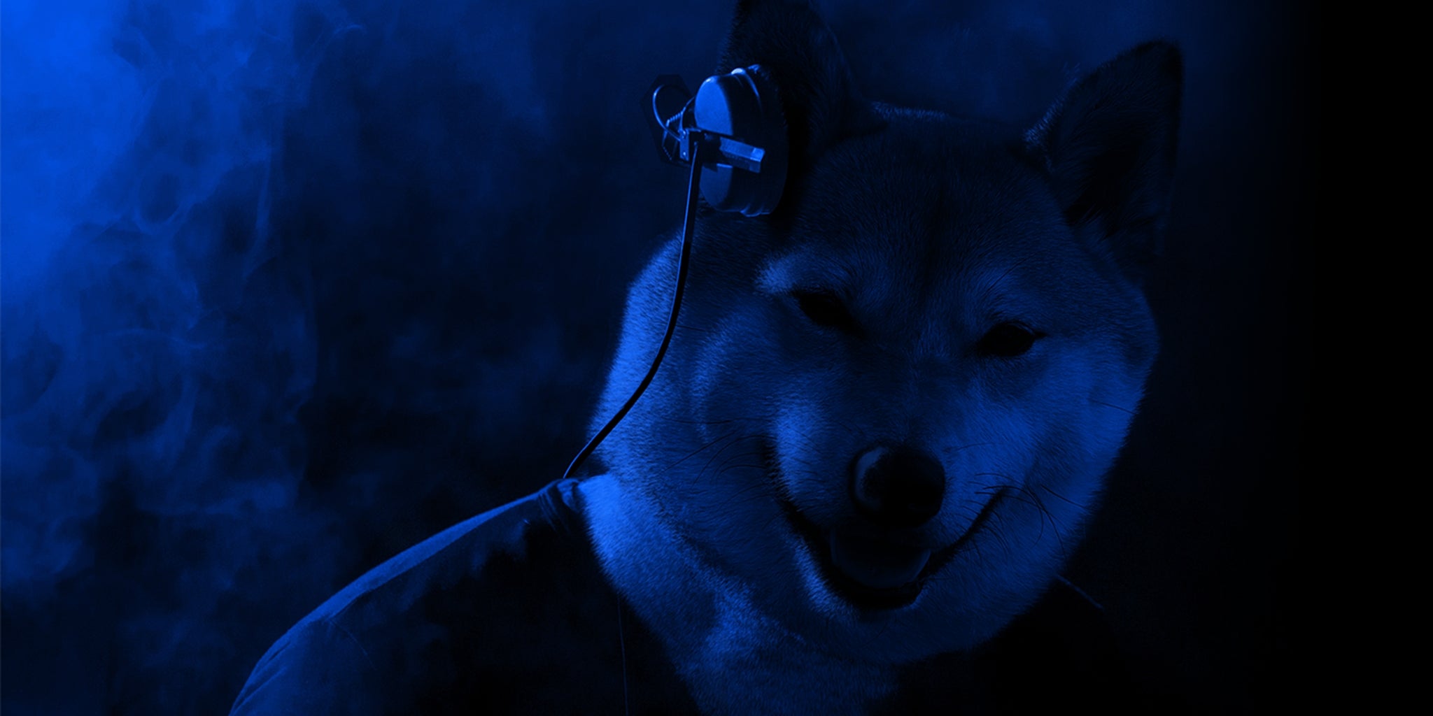 Doge Records is a real label devoted to obscure house music