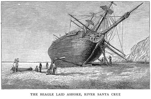 Darwin letters published online reveal the man behind the icon