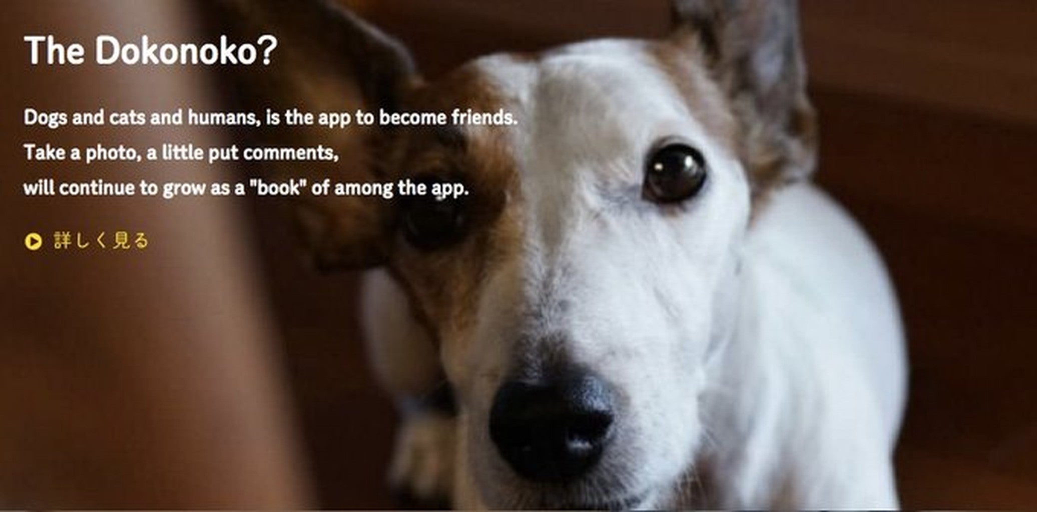 Do Japanese Keep Pets