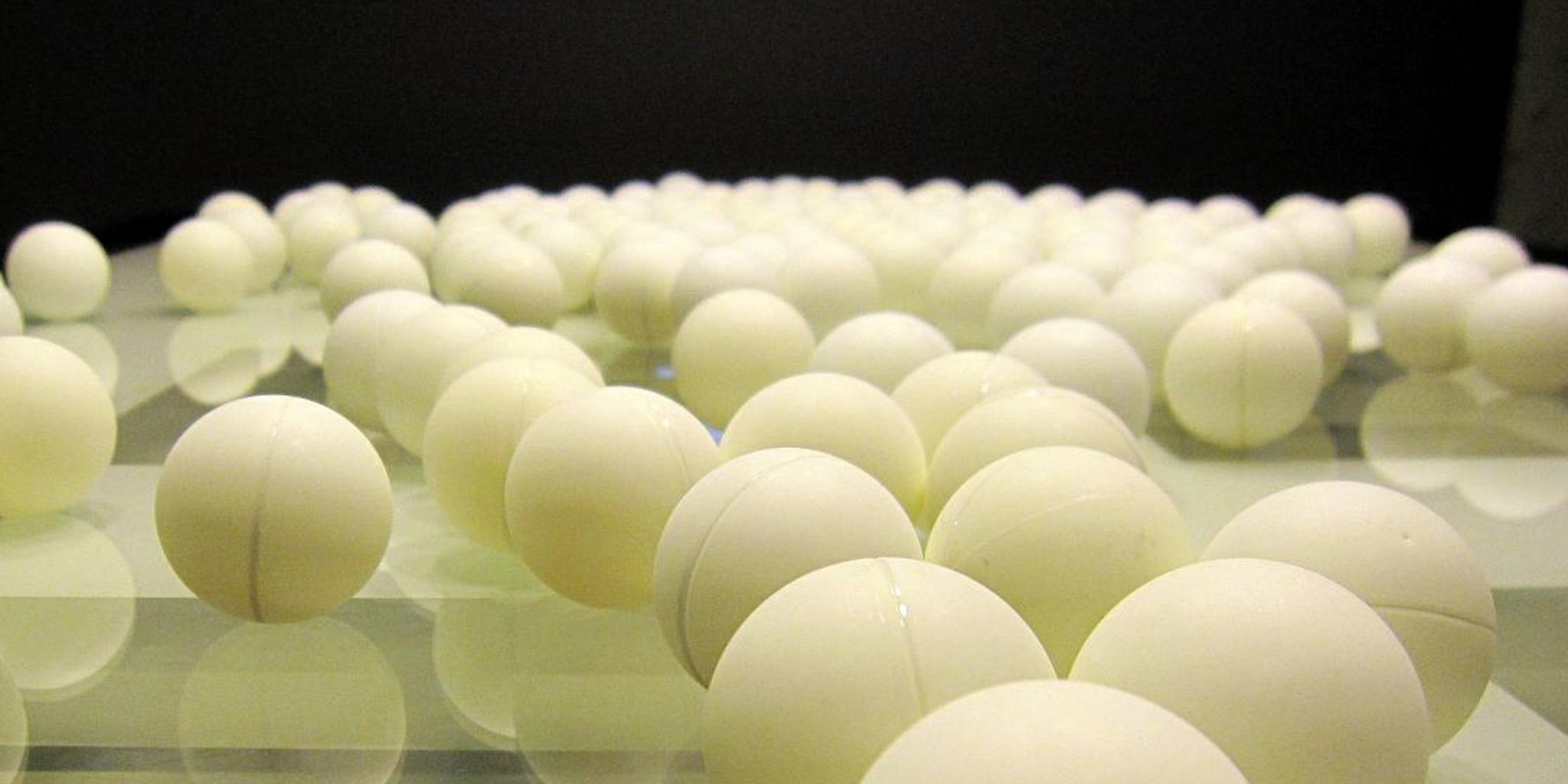 This dog is more excited about ping-pong than you'll ever be