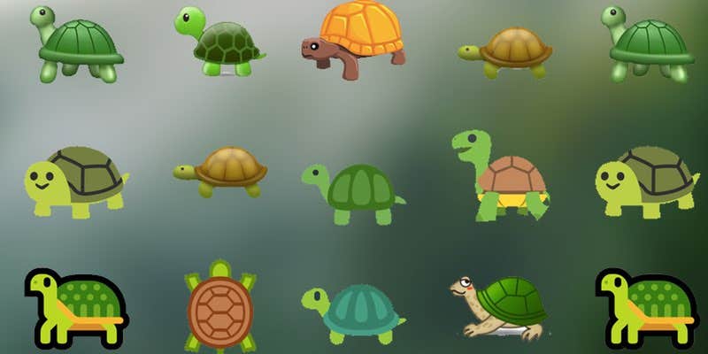 Every Kind of Turtle Emoji, Ranked
