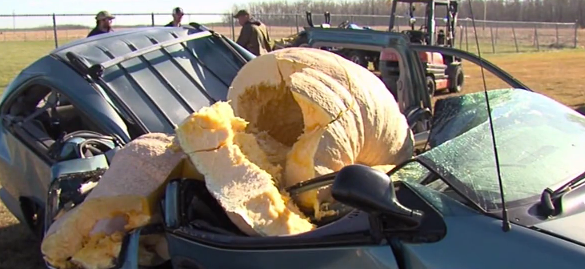 Minivan utterly destroyed by 1,465-pound pumpkin
